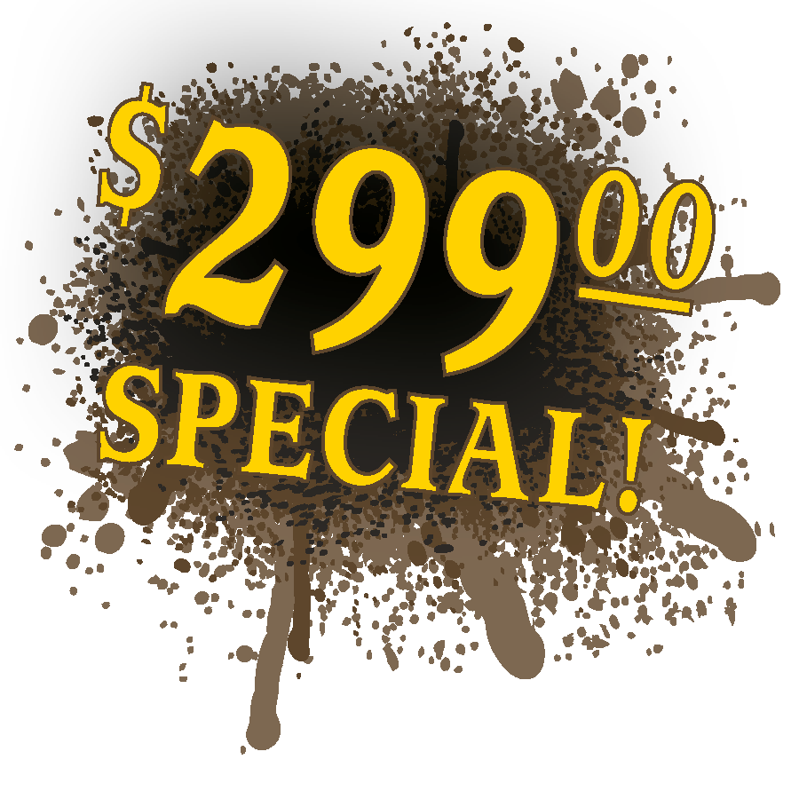 Specials - Dreese Services | Professional Upholstery & Floor Cleaning